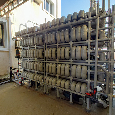 Lifequest World Corp